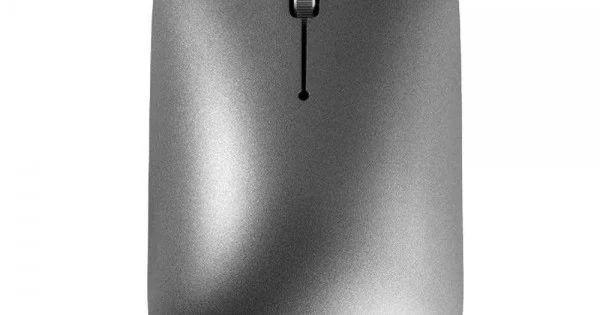 Mouse Wireless 2B Mo876