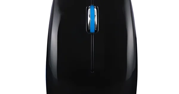Mouse Wireless 2B MO16L