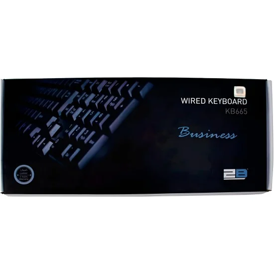 Keyboard Wireless 2B KB665